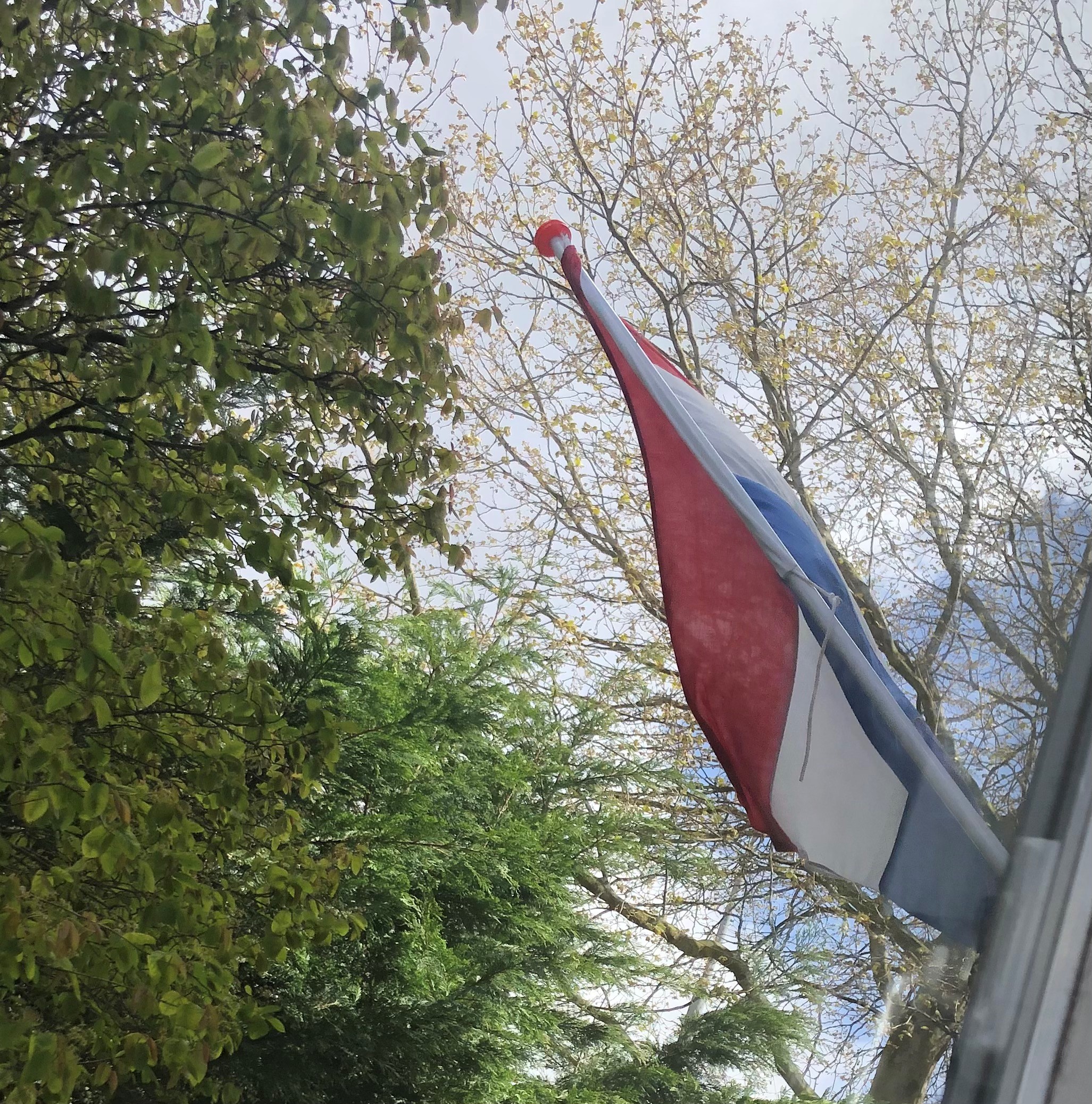 Bevrijdingsdag - FNV