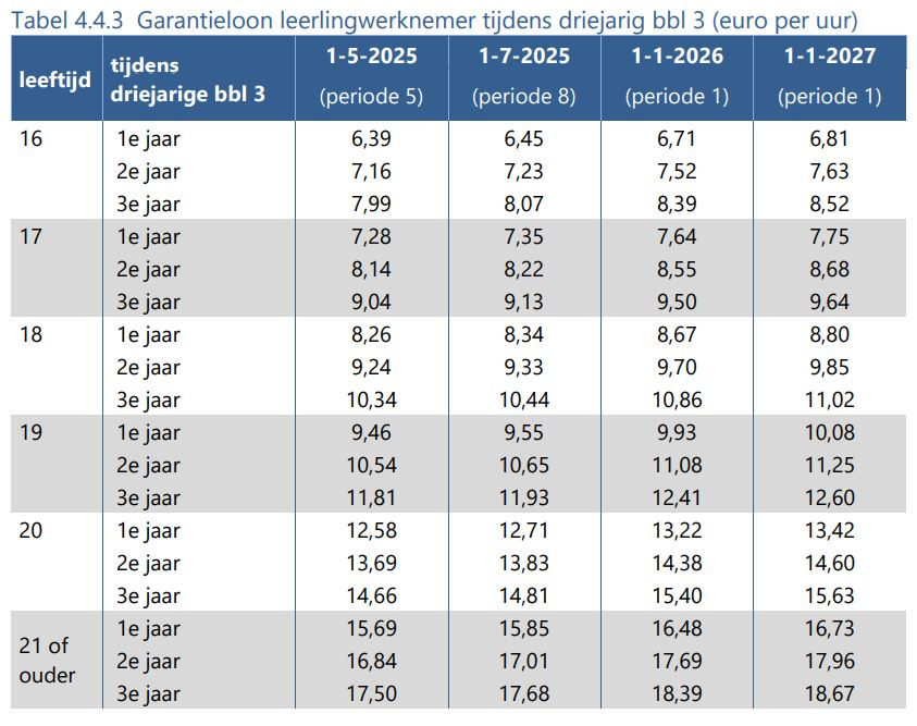 Salarisschalen Bouw en Infra 2025 - FNV