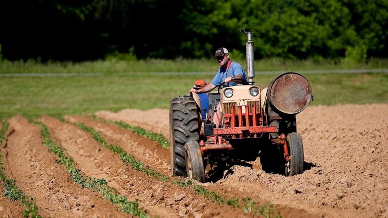Bevrijdingsdag 5 mei 2025: vrij met behoud van loon - FNV