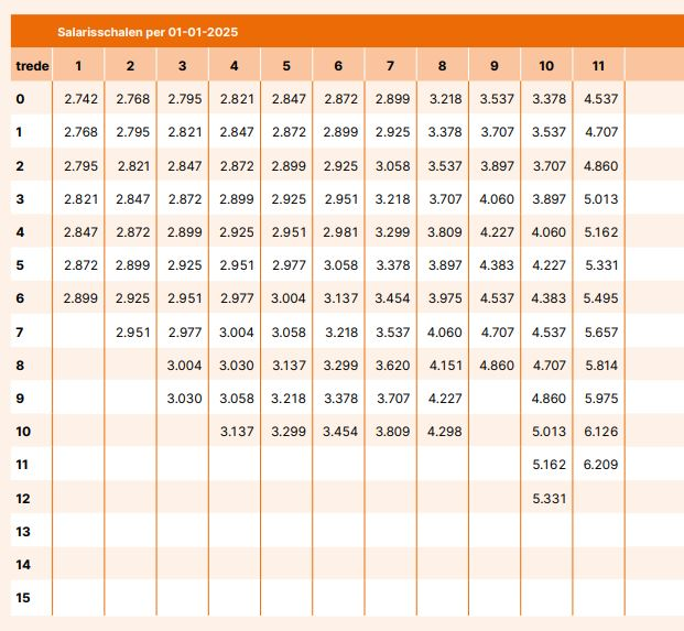 Salarisschalen Universiteiten 2025 - FNV