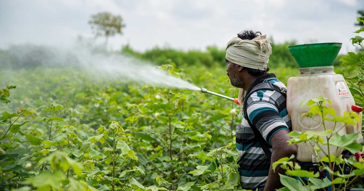 Clean Crops, Safe Workers: United for Healthy, Sustainable Supply ...